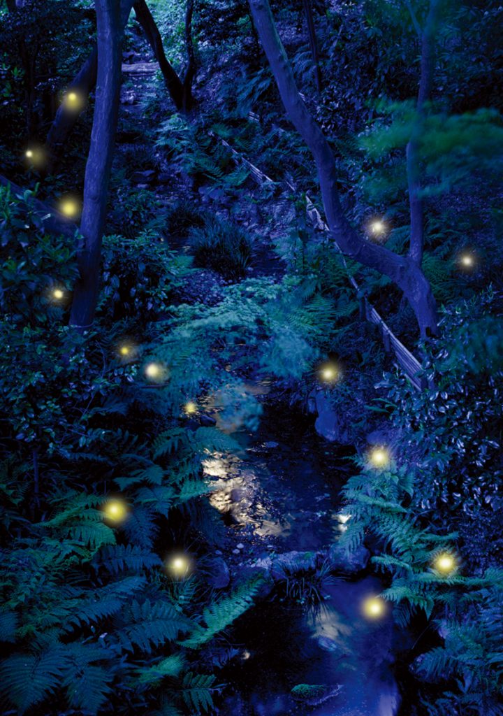Firefly Viewing at Hotel Chinzanso Tokyo: The Magic of Early Summer ...