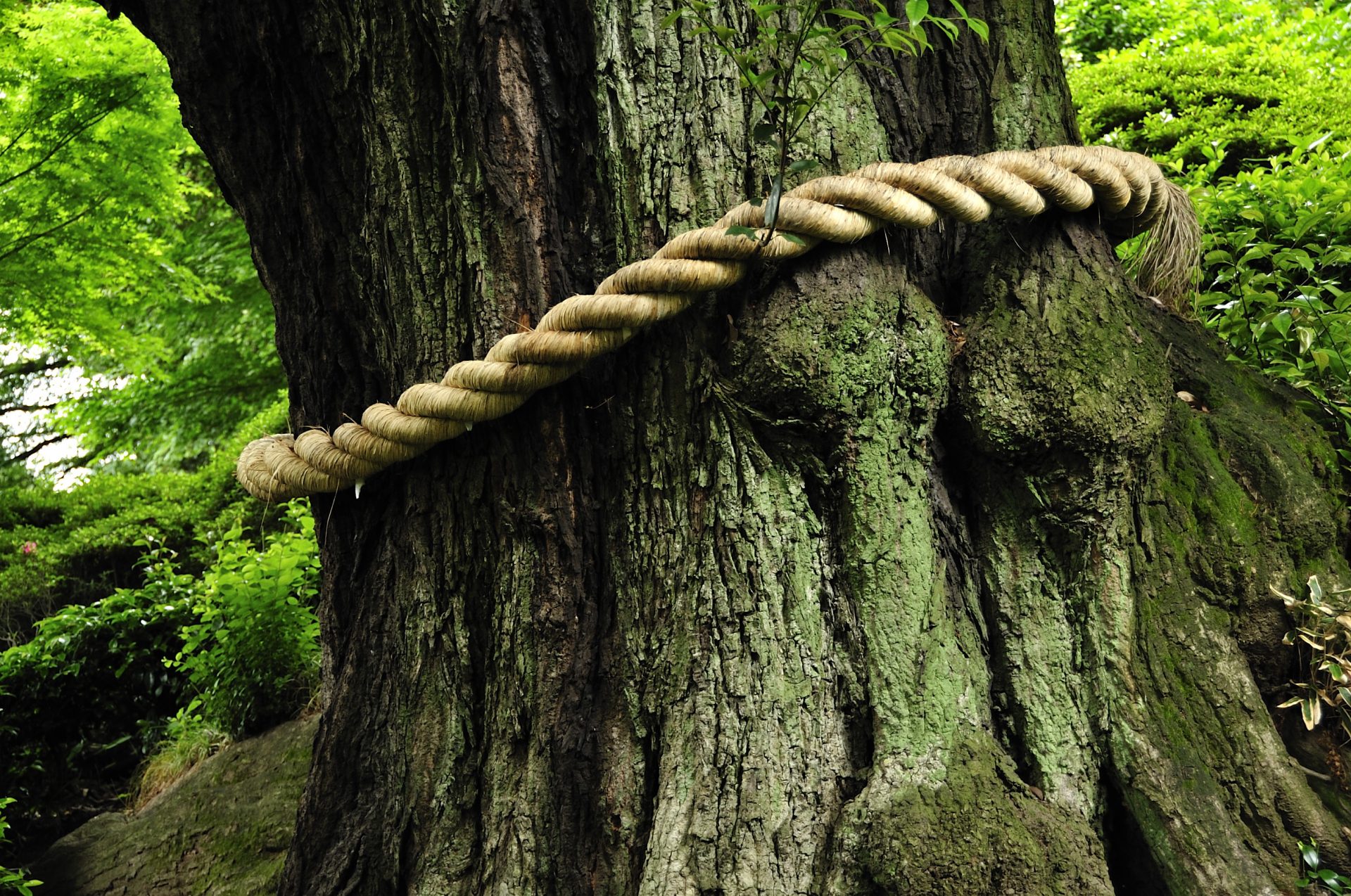 Guide to Chinzanso Garden: The Twelve Scenic Views | Hotel Chinzanso ...