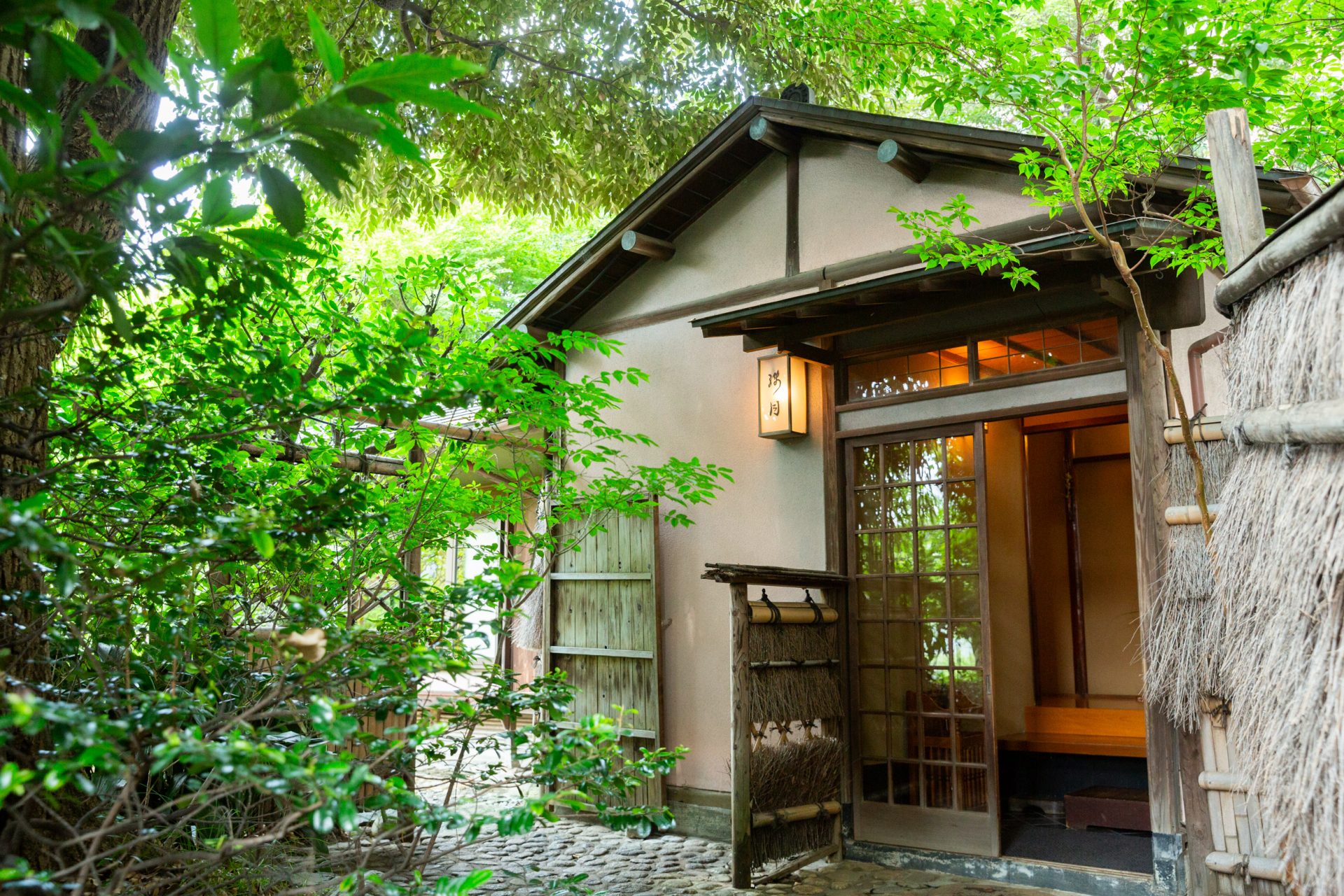 Japanese Tea Ceremony in Tokyo: History, Matcha, and Where to ...