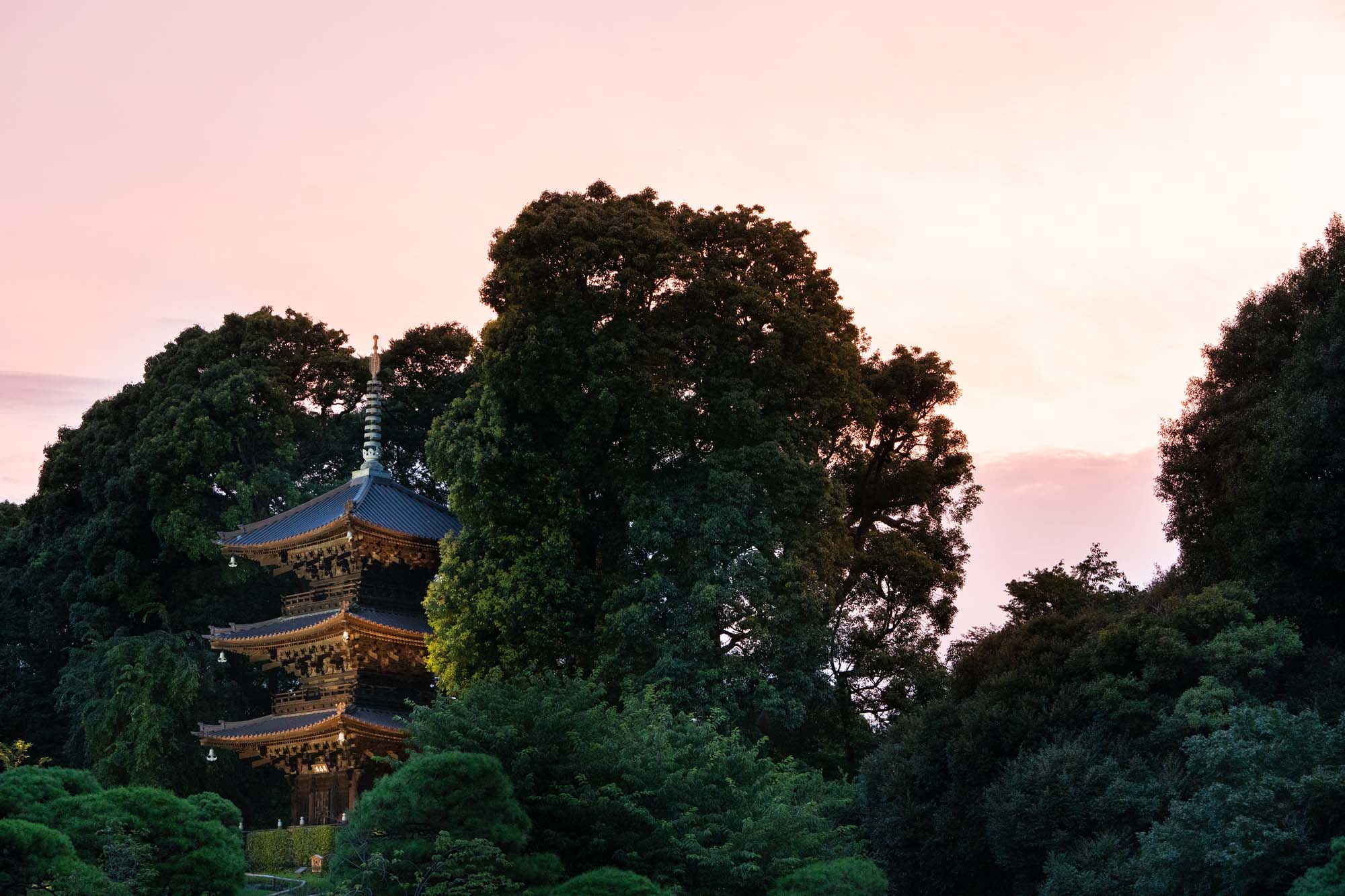 Guide to Chinzanso Garden: The Twelve Scenic Views | Hotel Chinzanso ...